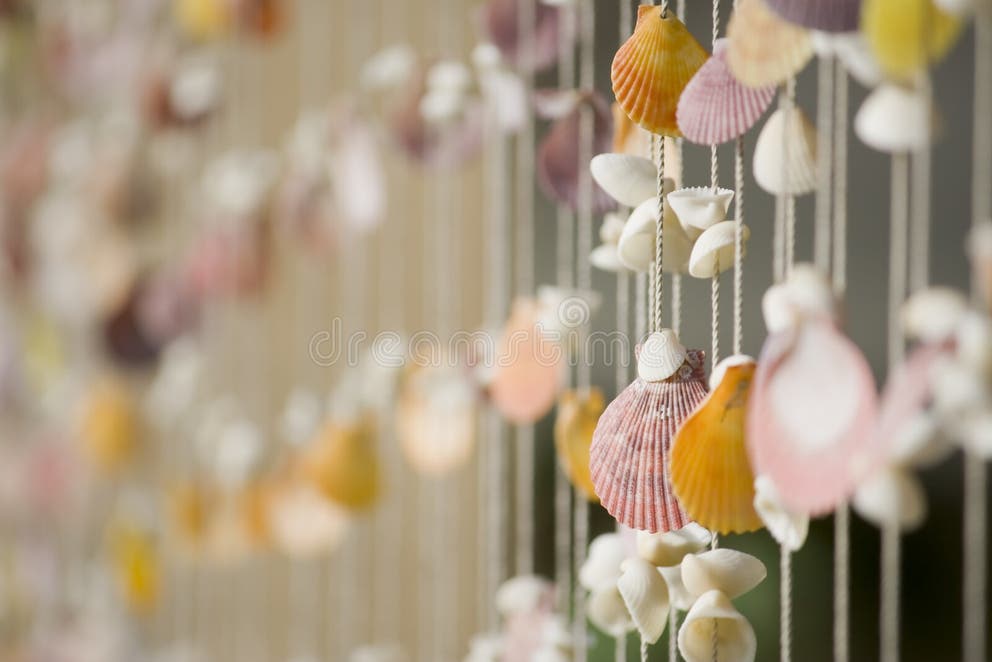 A shell festoon stock image. Image of hang, decorate, beautiful - 9091121