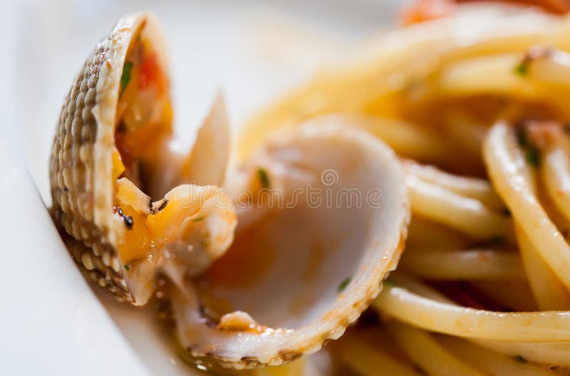 Shell fish stock photo. Image of meal, dish, fresh, healthy - 25228152