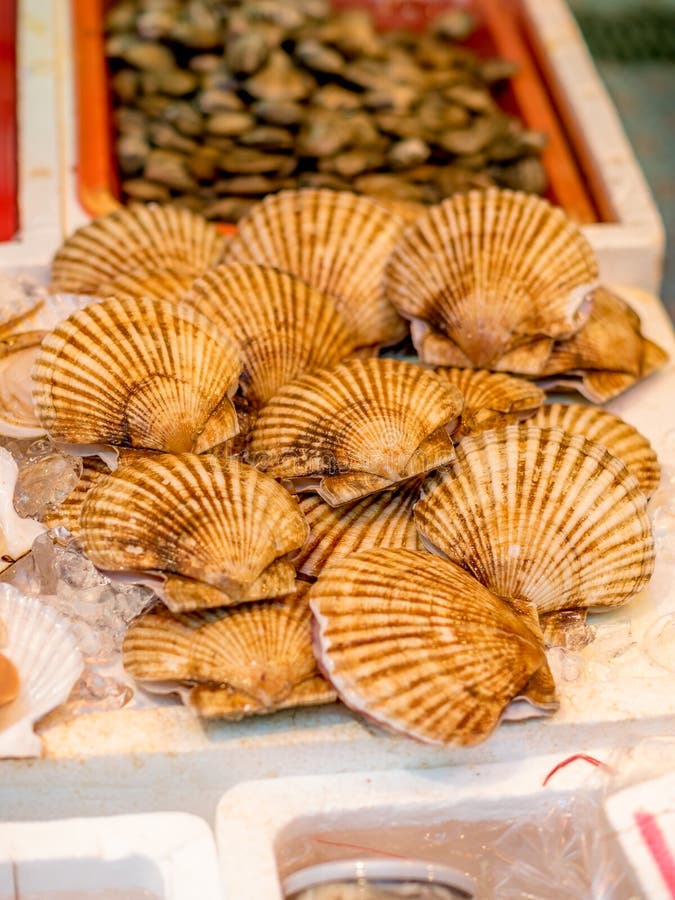 Shell Fish at the Hong Kong Wet Market Stock Image - Image of fish ...
