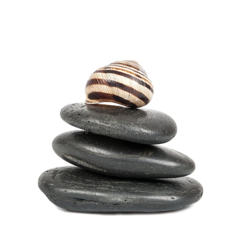 Shell on a Flat Black Stones Stacked Stock Image - Image of flat, round ...
