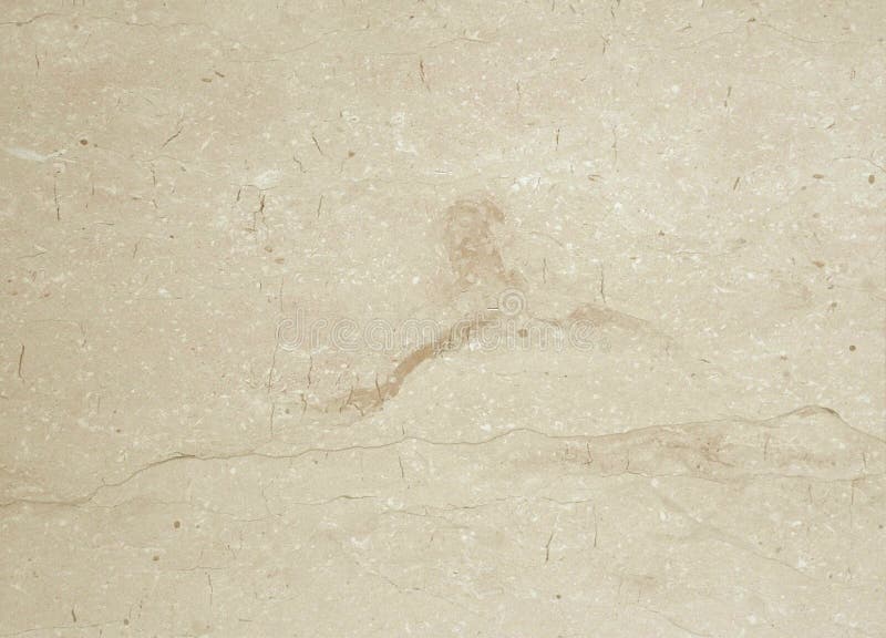 Shell Flower Beige Marble Background Grain Stone Plate Stock Image ...