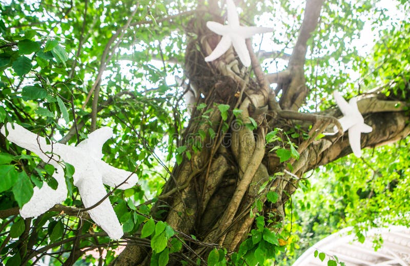 Shell Flower High Foot Table Outdoor Decoration Sunshine Stock Image ...