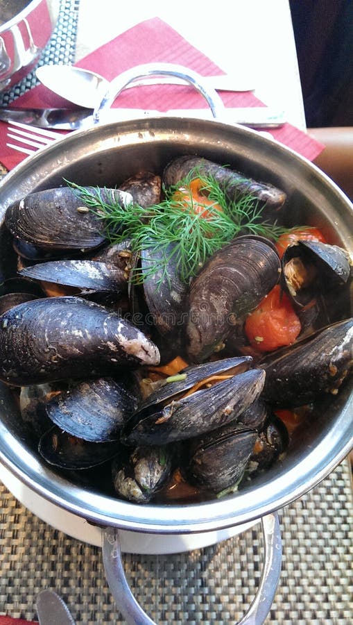 Shell sea food stock photo. Image of kitchen, fried, chef - 21843894