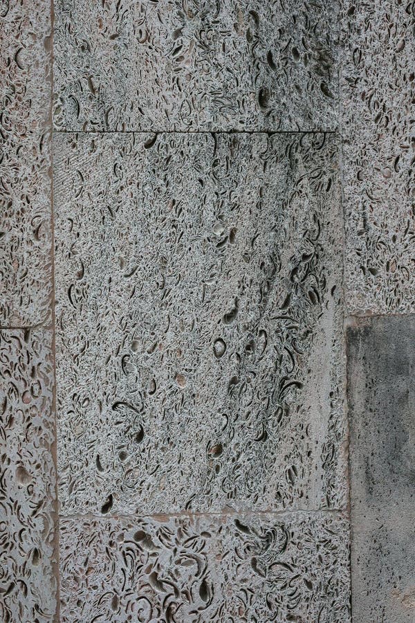 Shell in the Form of Building Material, Shell Texture, Texture, Stock ...