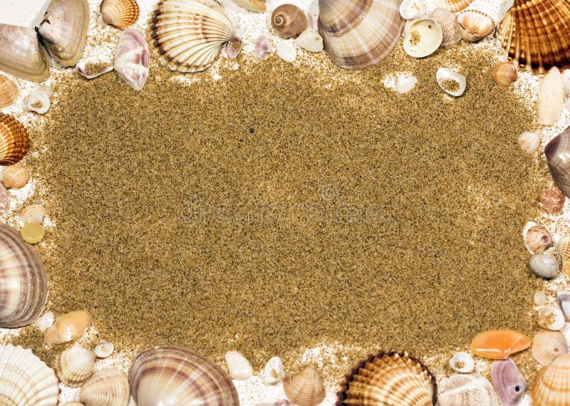Shell frame stock photo. Image of memo, decoration, frame - 12625934