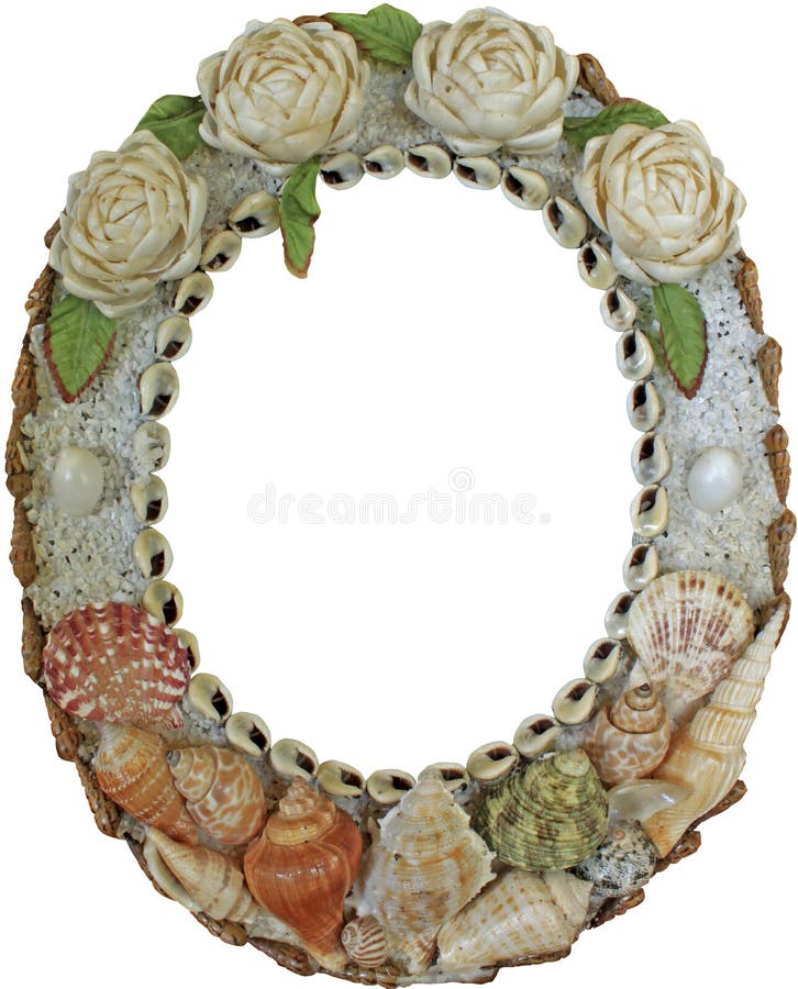 Sea shell frame stock image. Image of shell, nautilus - 24423653