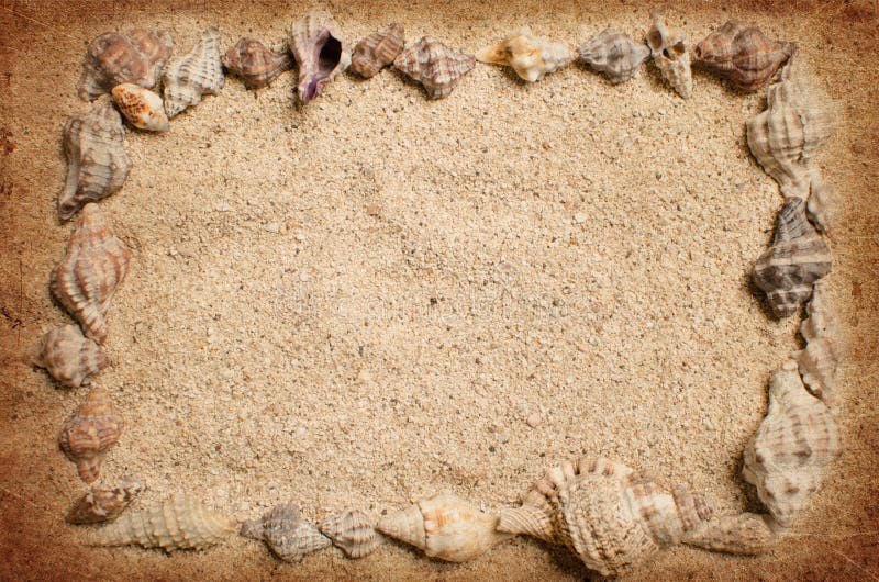 Shell frame stock image. Image of paradise, collection - 27747473