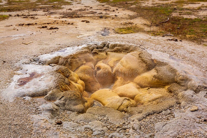 Shell Geyser in Yellowstone Stock Photo - Image of geothermal, wyoming ...