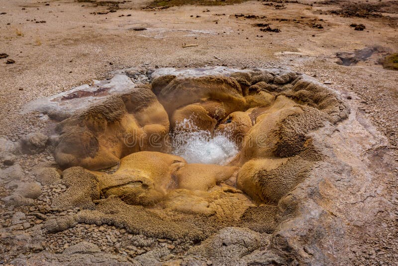 Shell Geyser in Yellowstone Stock Image - Image of wyoming, horizontal ...