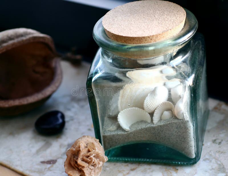 Shell in glass stock photo. Image of sand, decorated, buddhanut - 2061208
