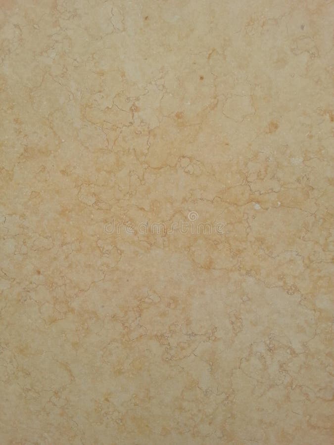 Shell Gold Marble Background Grain Stone Plate Stock Image - Image of ...