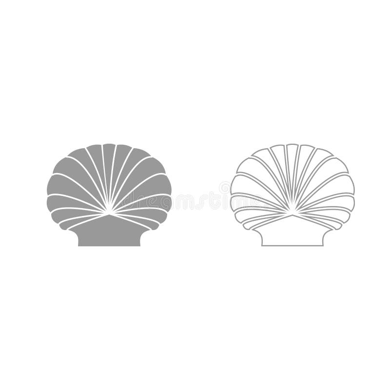 Sea Shell With Grey Textured Background Wallpaper, Stock Image - Image ...