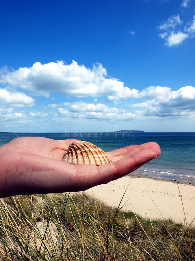 Shell At Hand Picture. Image: 5516505