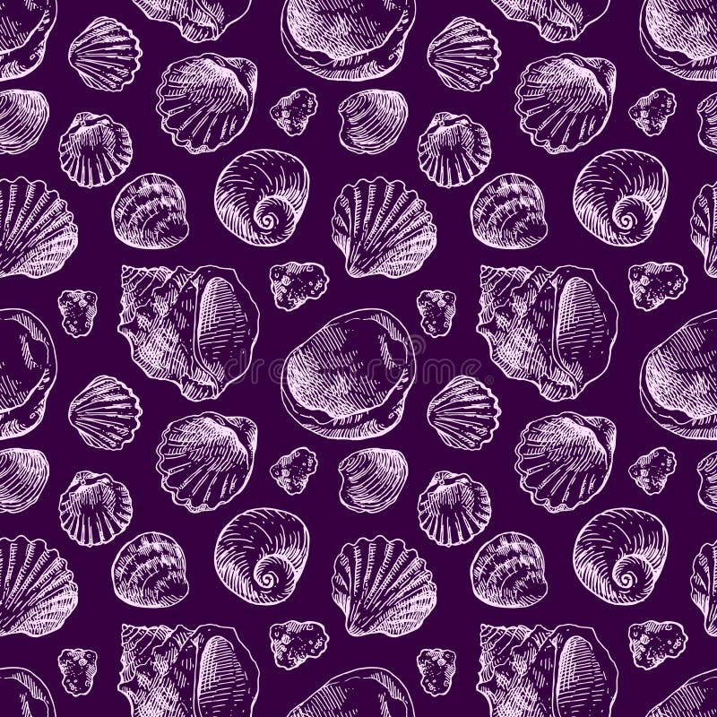 Shell hand drawn stock vector. Illustration of nautilus - 71969986