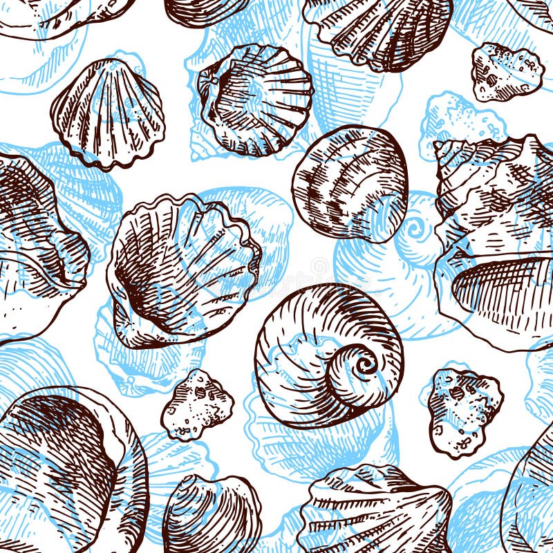 Shell hand drawn stock vector. Illustration of graphic - 71970949