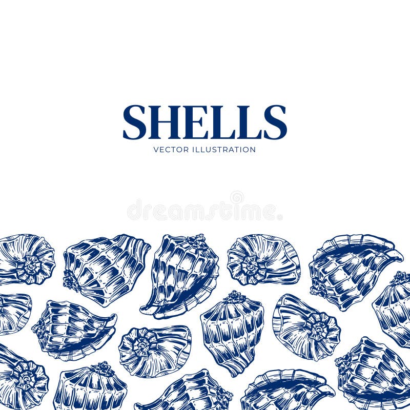 Shell. Hand Drawn Seashells. Engraving on a Marine Theme Stock Vector ...