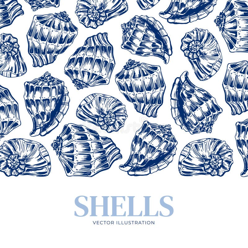 Shell. Hand Drawn Seashells. Engraving on a Marine Theme Stock Vector ...