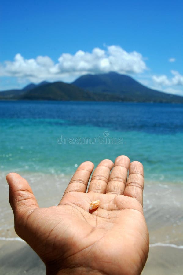 A Shell in Hand by the Ocean / Sea / Beach /tropic Stock Image - Image ...