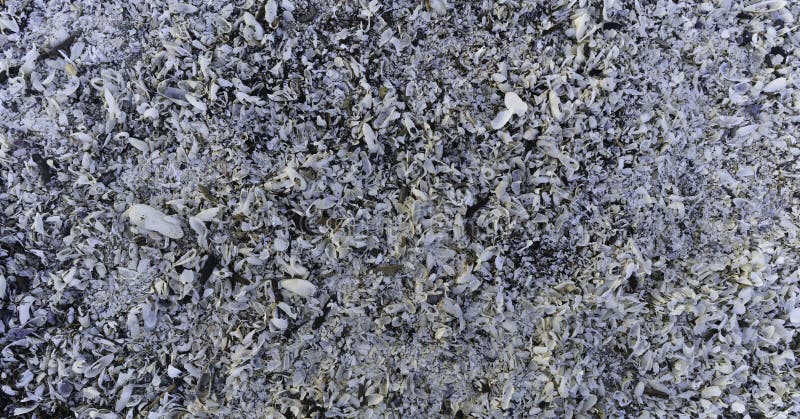 Shell Hash, a Rough Gray Surface Texture Stock Image - Image of plain ...