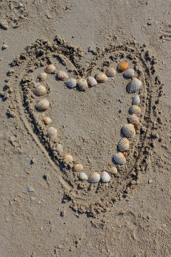 Shell Heart dans le sable photo stock. Image du coques - 135683448