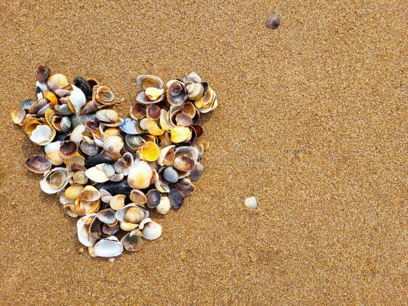 A Shell Heart is Laid Out on the Sea Sand on a Clear Sunny Day. Stock ...