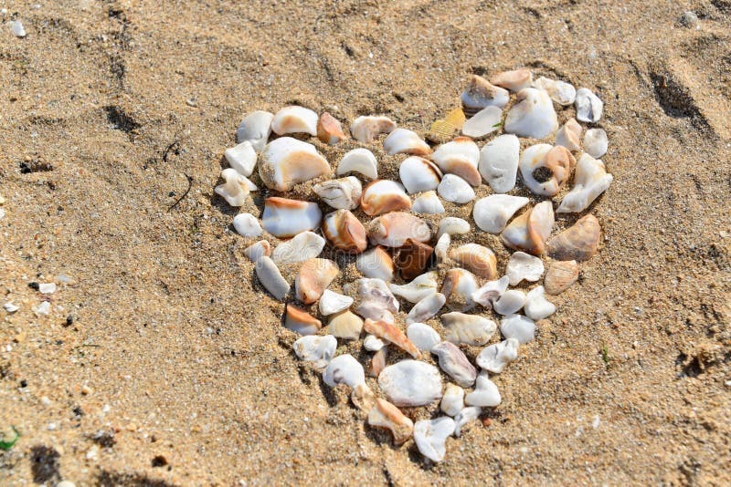 Shell Heart stock photo. Image of romantic, union, romance - 45594840