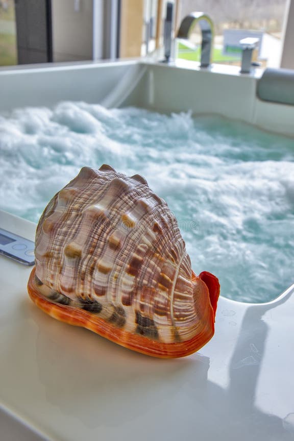 Shell on the hot tub stock image. Image of decoration - 215501967