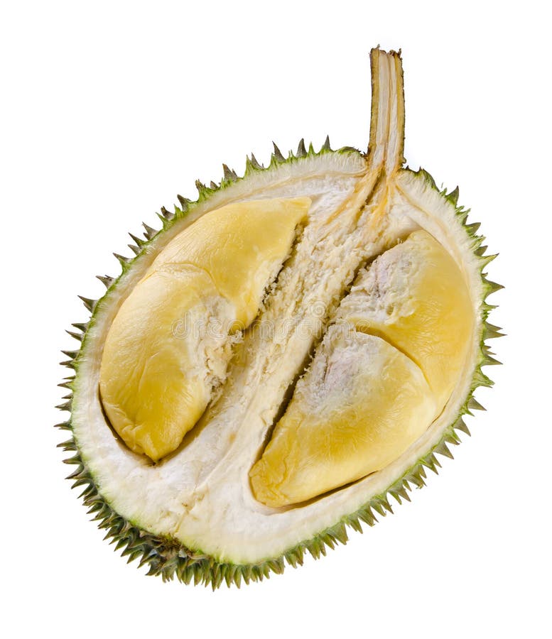 Shell (husk) of the Prized Durian Fruit. Stock Photo - Image of ...