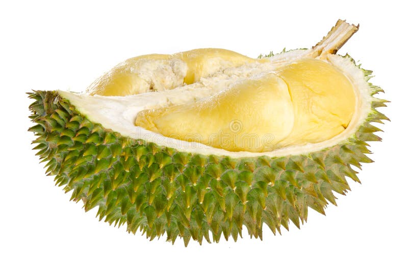 Shell (husk) of the Prized Durian Fruit. Stock Photo - Image of pointed ...