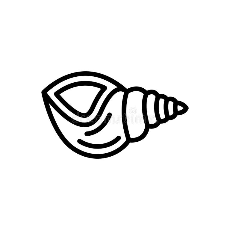 Conch Shell Silhouette Stock Illustrations – 3,631 Conch Shell ...