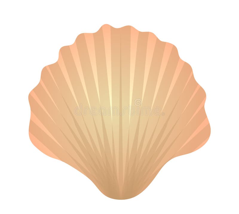 Shell Icon Logo Element. Flat Style, Isolated on White Background ...