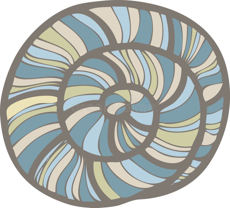 Shell stock illustration. Illustration of decor, marine - 68440909