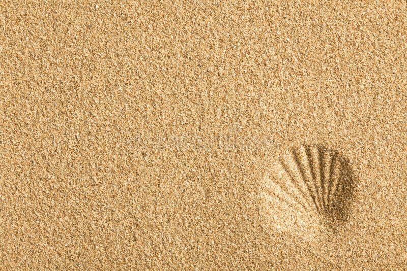 Shell Imprinted on the Sand Stock Image - Image of design, seashell ...