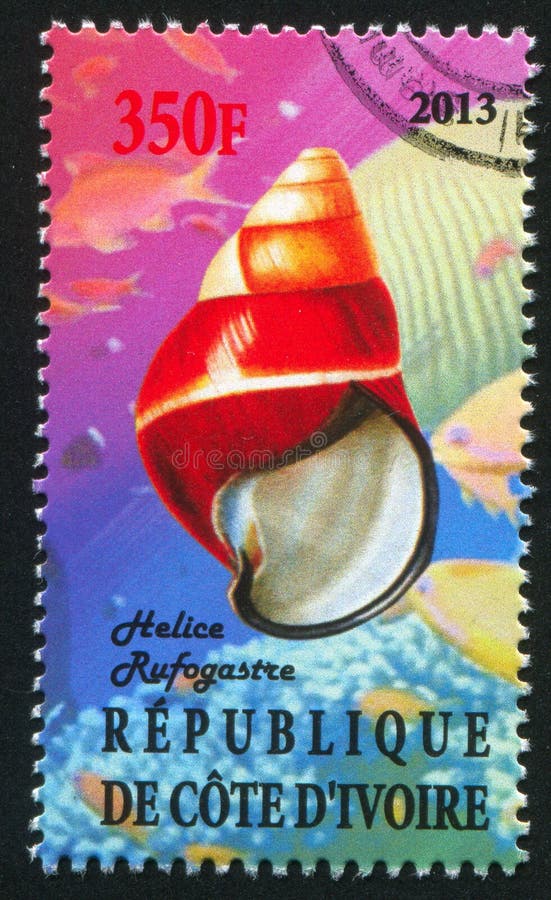 Shell editorial stock image. Image of postage, message - 314444479