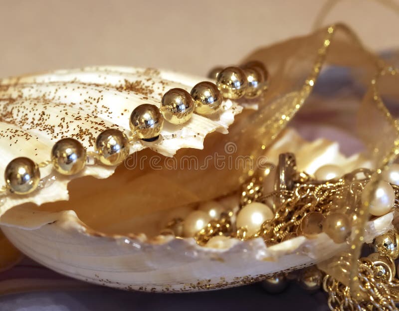 Shell with Jewellery Pearls Stock Image - Image of pearl, jewel: 3928161