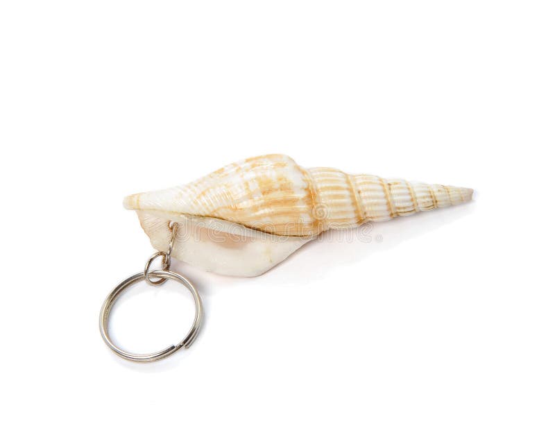 Shell keychain stock photo. Image of conch, ocean, seashell - 30568676
