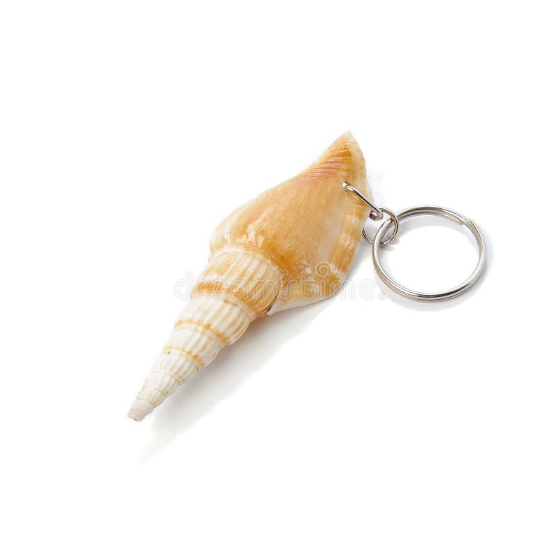 Shell keychain stock photo. Image of conch, ocean, seashell - 30568676