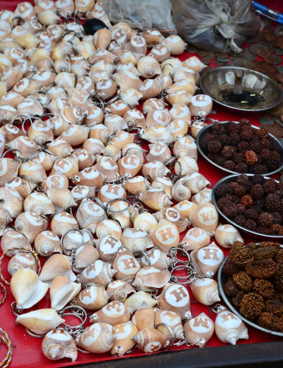 Shell keychain stock photo. Image of conch, ocean, seashell - 30568676