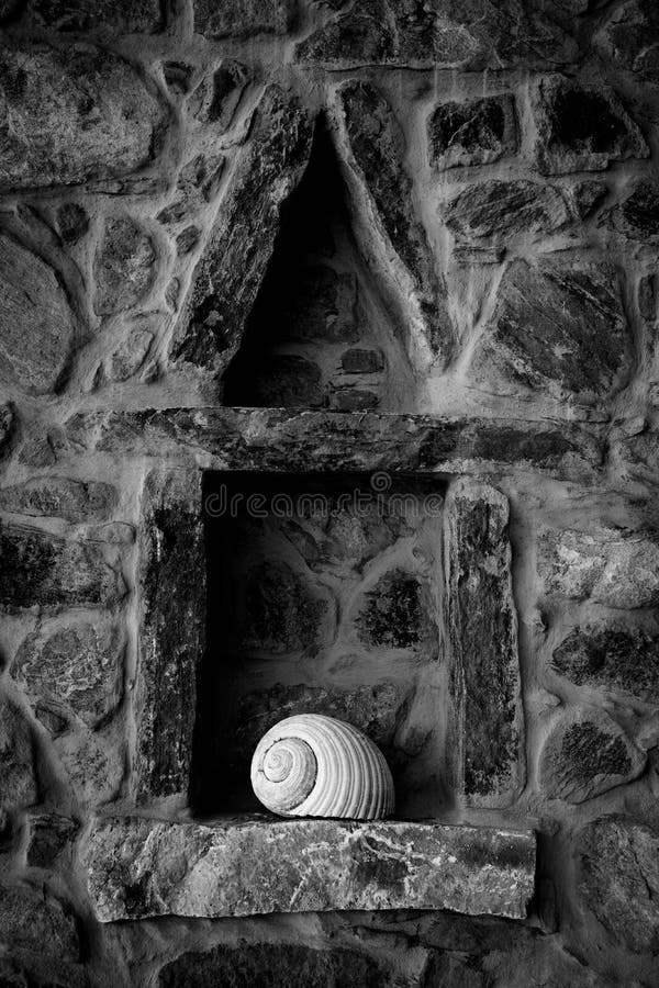 Shell on ledge stock image. Image of wall, recess, monochrome - 23947559