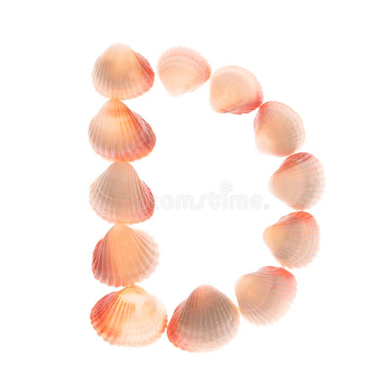 Shell Letra D Imagen. Imagen: 4235083
