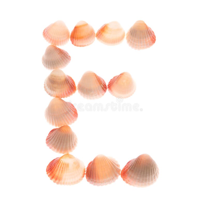 Shell Letter E Picture. Image: 4235070