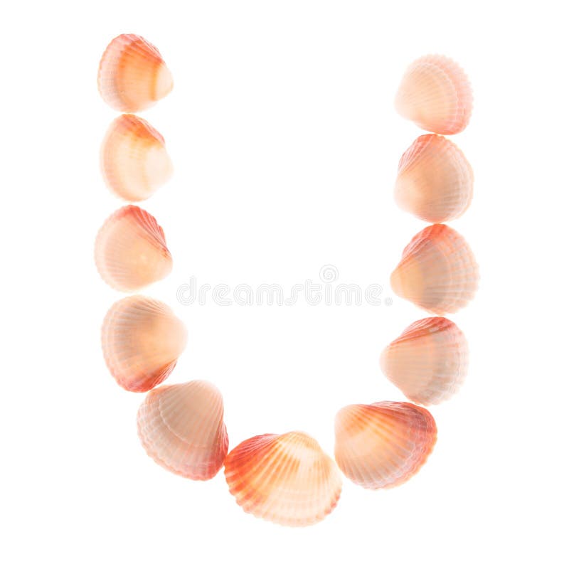 Shell letter U stock photo. Image of scrimshaw, style - 4235120