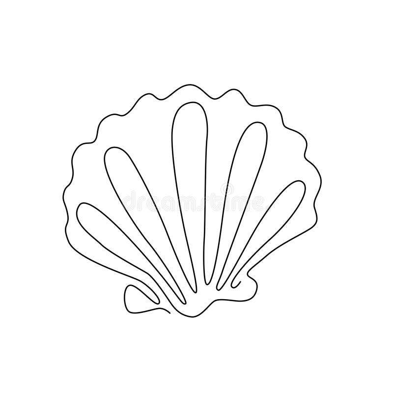 SHELL LINE ART. Vector Sea Shell. Continuous Line Drawing Vector ...