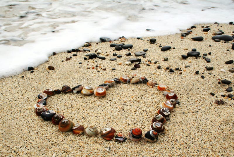 Shell Love Heart stock photo. Image of vacation, heart - 7799914