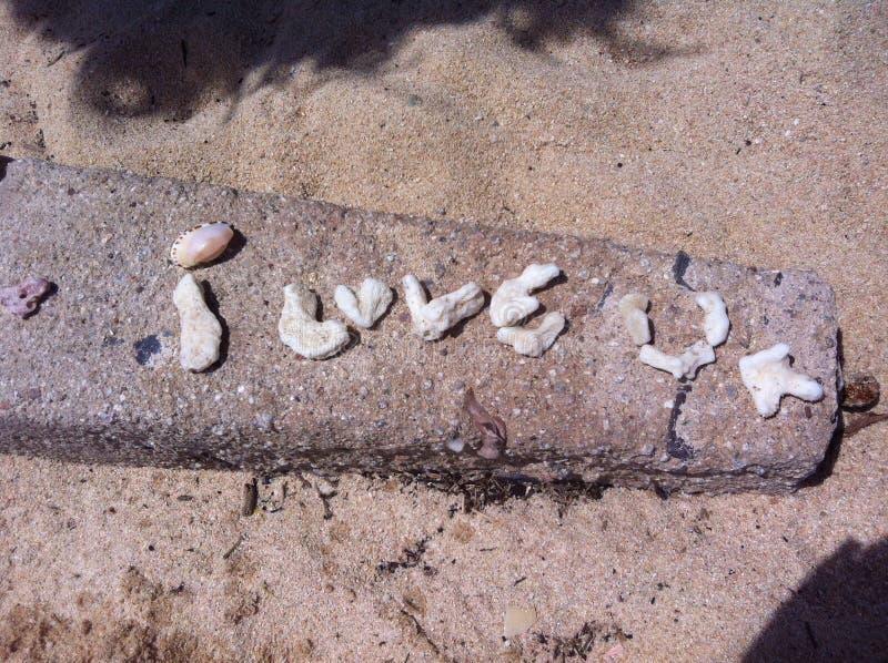 Shell love stock photo. Image of coral, beach, written - 53730870
