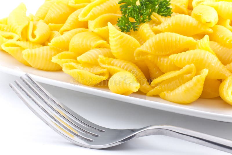 Shell Macaroni and Cheese stock photo. Image of healthy - 43819138