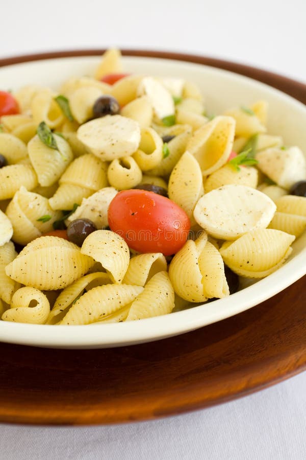 Shell Macaroni and Chesse with Tomato Stock Image - Image of basil ...