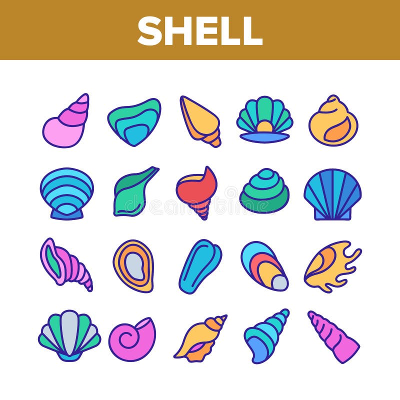 Shell and Marine Conch Collection Icons Set Vector Stock Vector ...