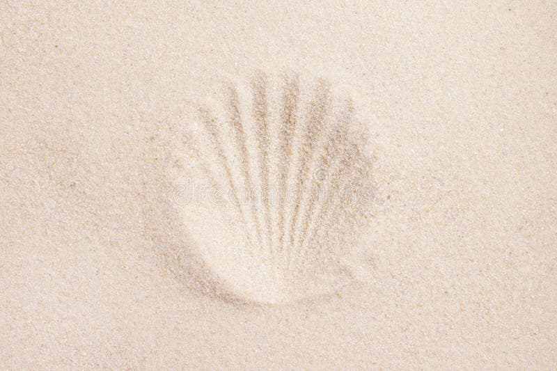 Shell Mark Pattern in Sand Above View Macro with Place for Text Stock ...