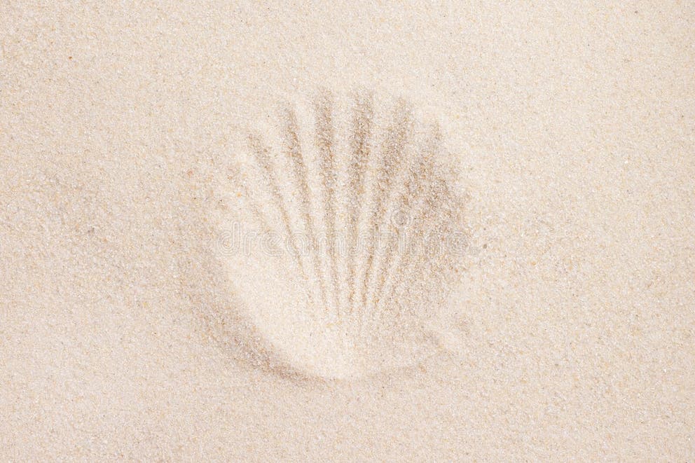 Shell Mark Pattern in Sand Above View Macro with Place for Text Stock ...